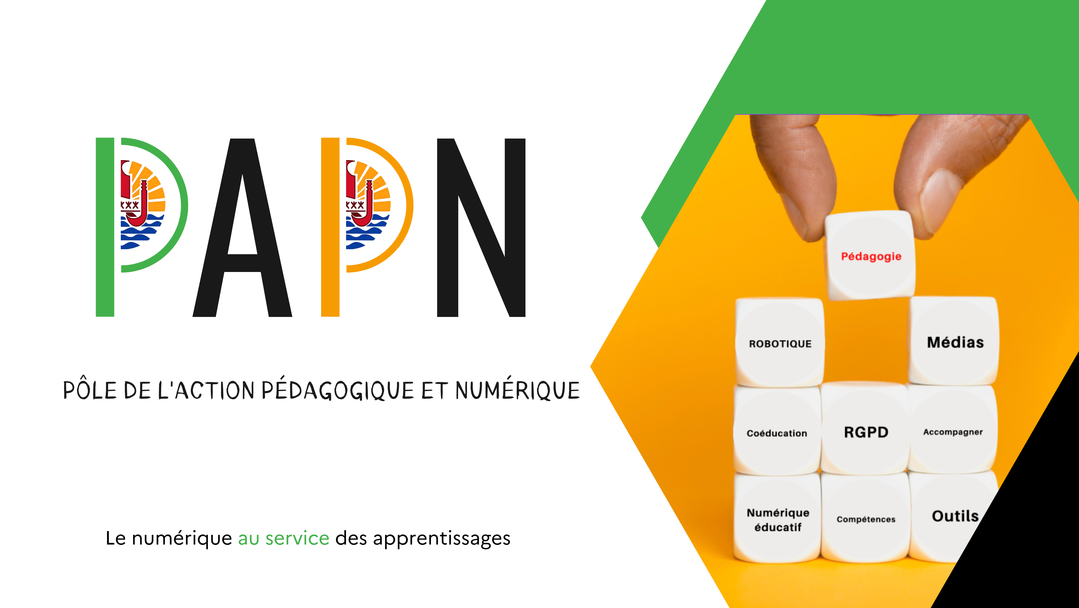 RESSOURCES - PAPN