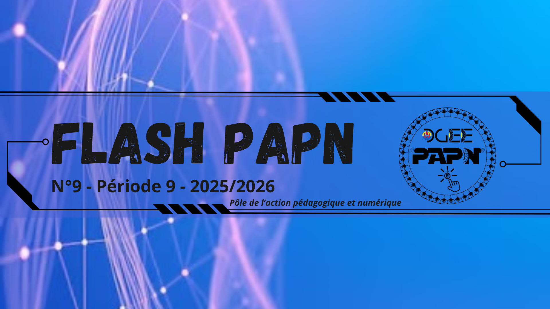Flash PAPN N°9 - 2025/2026 - PAPN